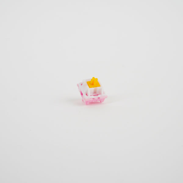 MOON SWITCHES – OFFSET | Shwa